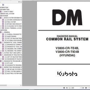 Hyundai Kubota V3800 Engine Workshop Manual
