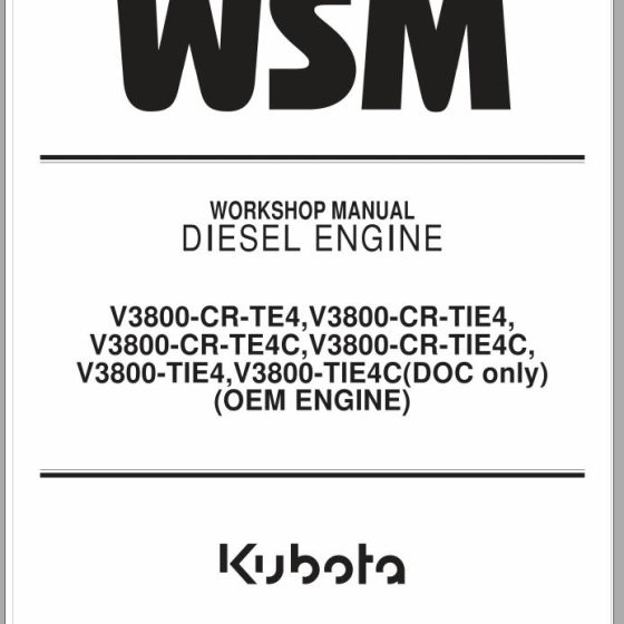 Kubota Diesel Engine V3800-TIEF4 V3800-TIEF4C V3800-TIEF4H Workshop Manual
