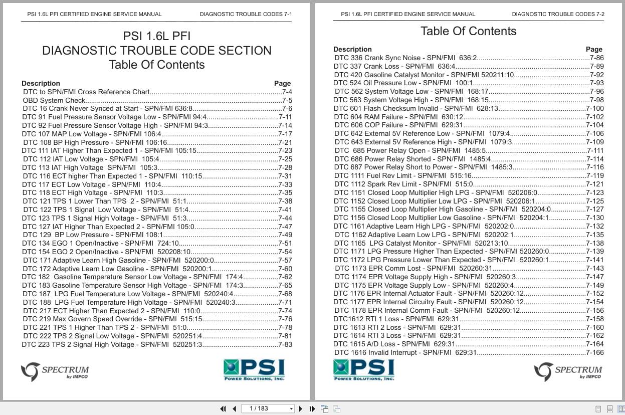 PSI Engine 1.6L PFI Diagnostic Trouble Code